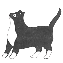 Cat Call UK Cat Call UK About Cat Call About Cat Call charity Hastings