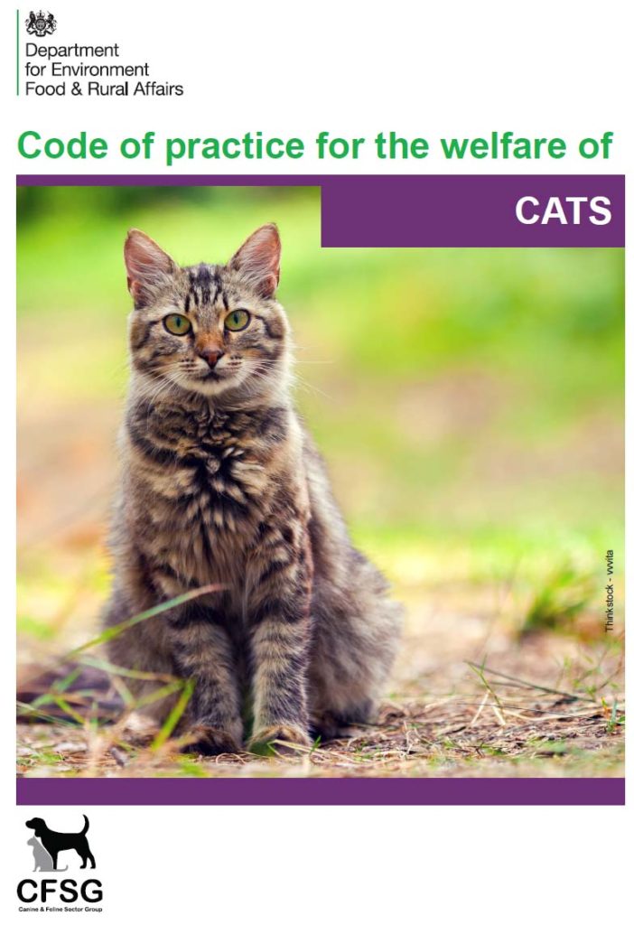 Care For Your Cat and It Will Never Let You Down - Cat Call UK