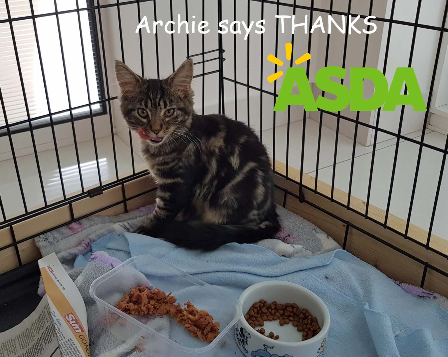 Thank You Asda - Cat Call UK