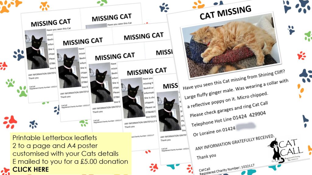 Cat Call Charity caring for Cats in Hastings, St Leonards On Sea ...