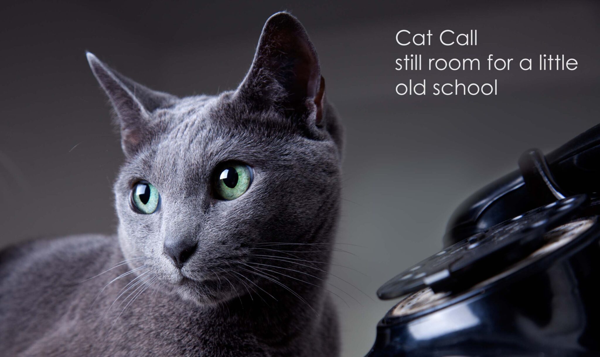 Other Inquiries - Cat Call UK