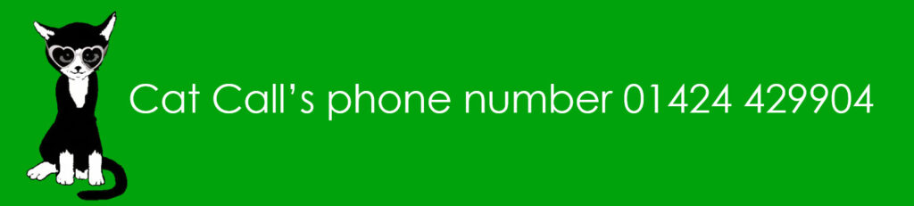 Contact us - Cat Call UK