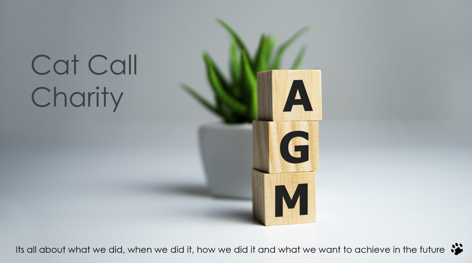 Cat Call UK Cat Call UK About Cat Call About Cat Call charity Hastings