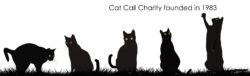 Cat Call UK Cat Call UK Caring for Cats in the Hastings area ...