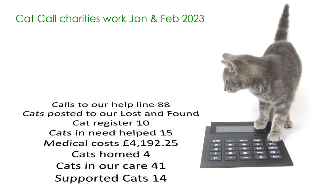 Cat Call UK Cat Call UK Caring for Cats in the Hastings area ...