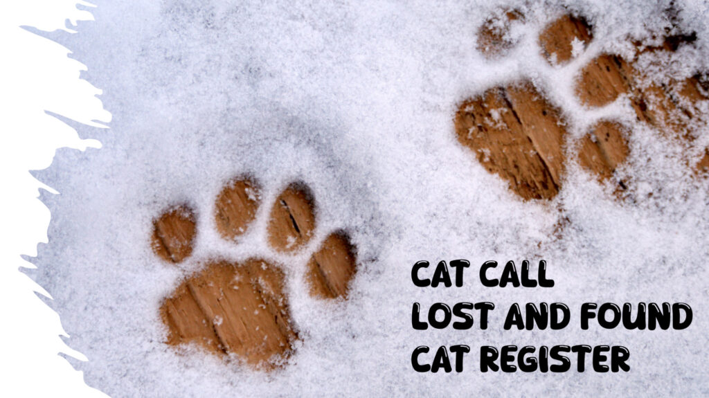 Lost and Found Cat Register Hastings Lost and Found Cat Register