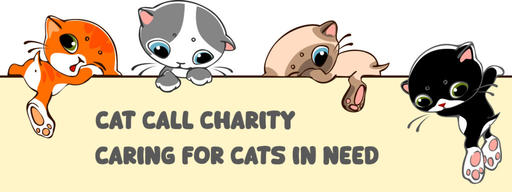 Cat Call Charity caring for Cats in need in Hastings