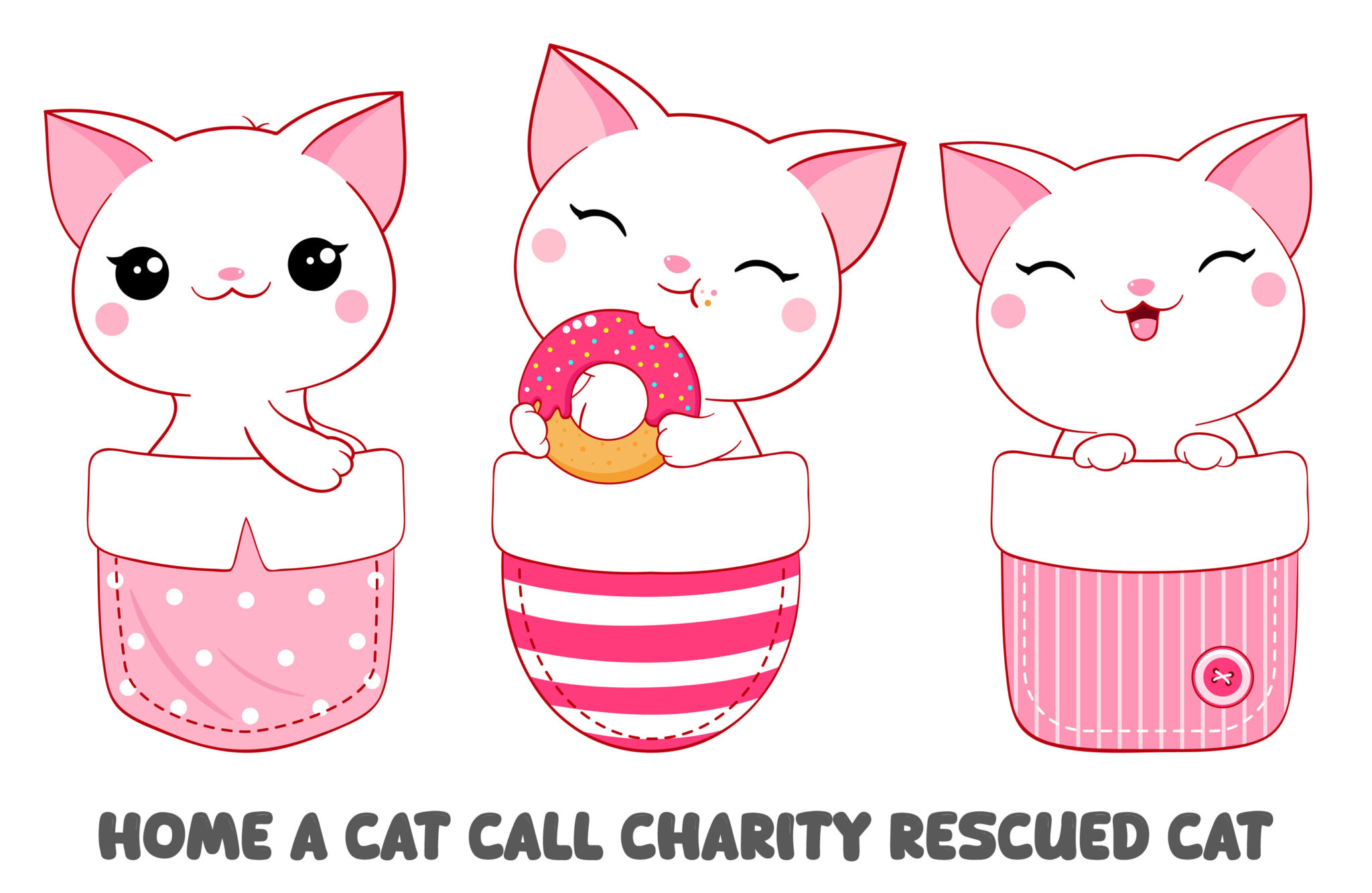 Cat Call Charity caring for Cats in need in Hastings